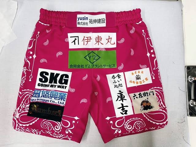 ヒロ三河のwiki風プロフィール！仕事、年齢、戦績、出身地など